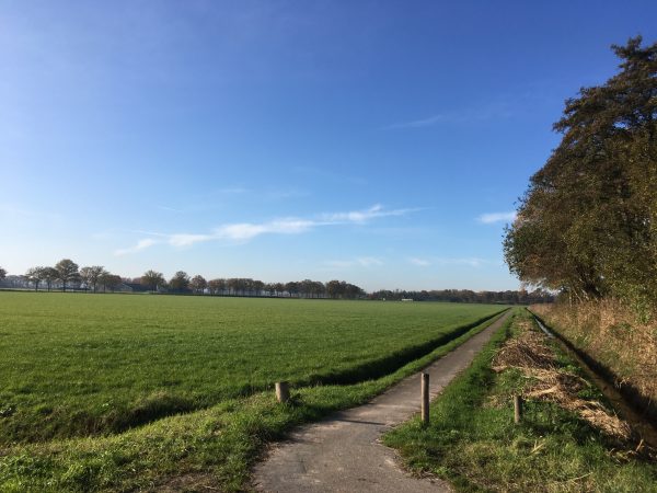 Natuurlijk Moergestel! Kom met een goed idee voor jouw dorp - Nieuws en ...